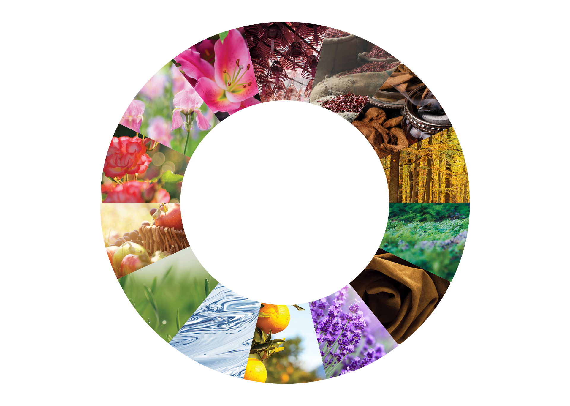 Explore Michael Edwards’ Fragrance Wheel - Discover Michael Edwards ...